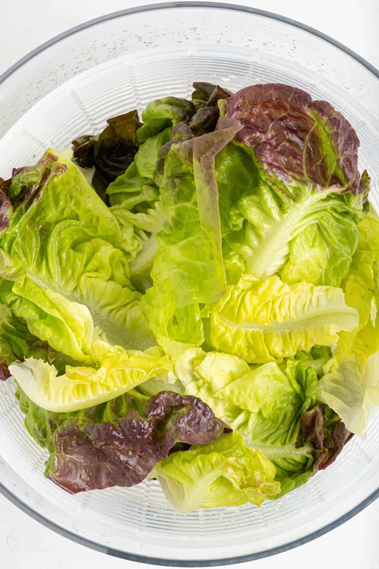 10 Minute Ensalada Verde | Salima's Kitchen