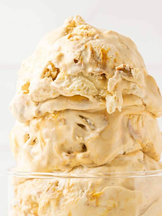 Dulce de Leche Ice Cream - Salima's Kitchen