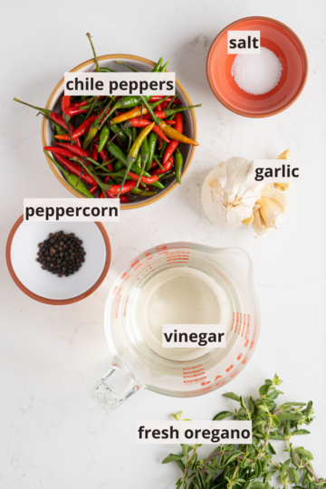 10 Minute Pique (Puerto Rican Hot Sauce) | Salima's Kitchen