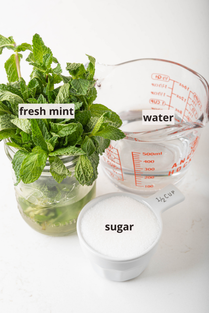 Mint Syrup (3 Ingredients) | Salima's Kitchen