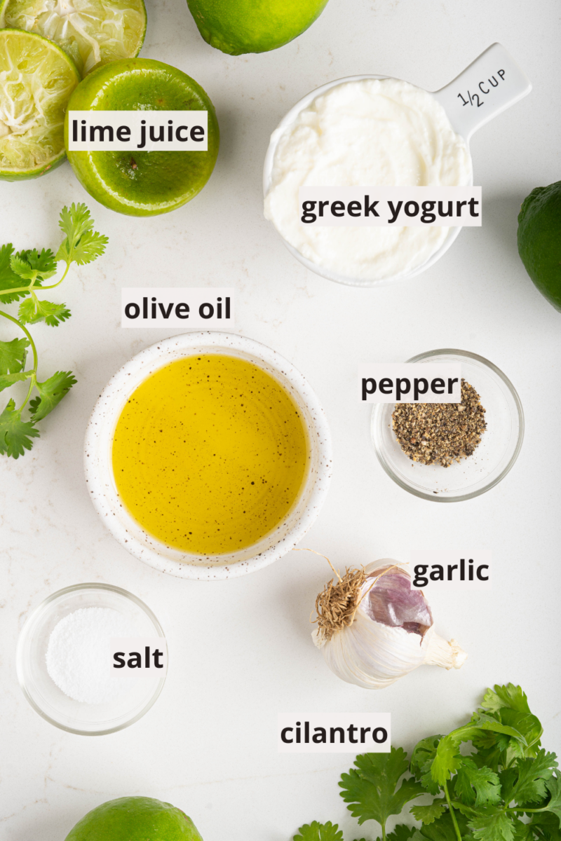 Cilantro Lime Sauce with Greek Yogurt | Salima's Kitchen