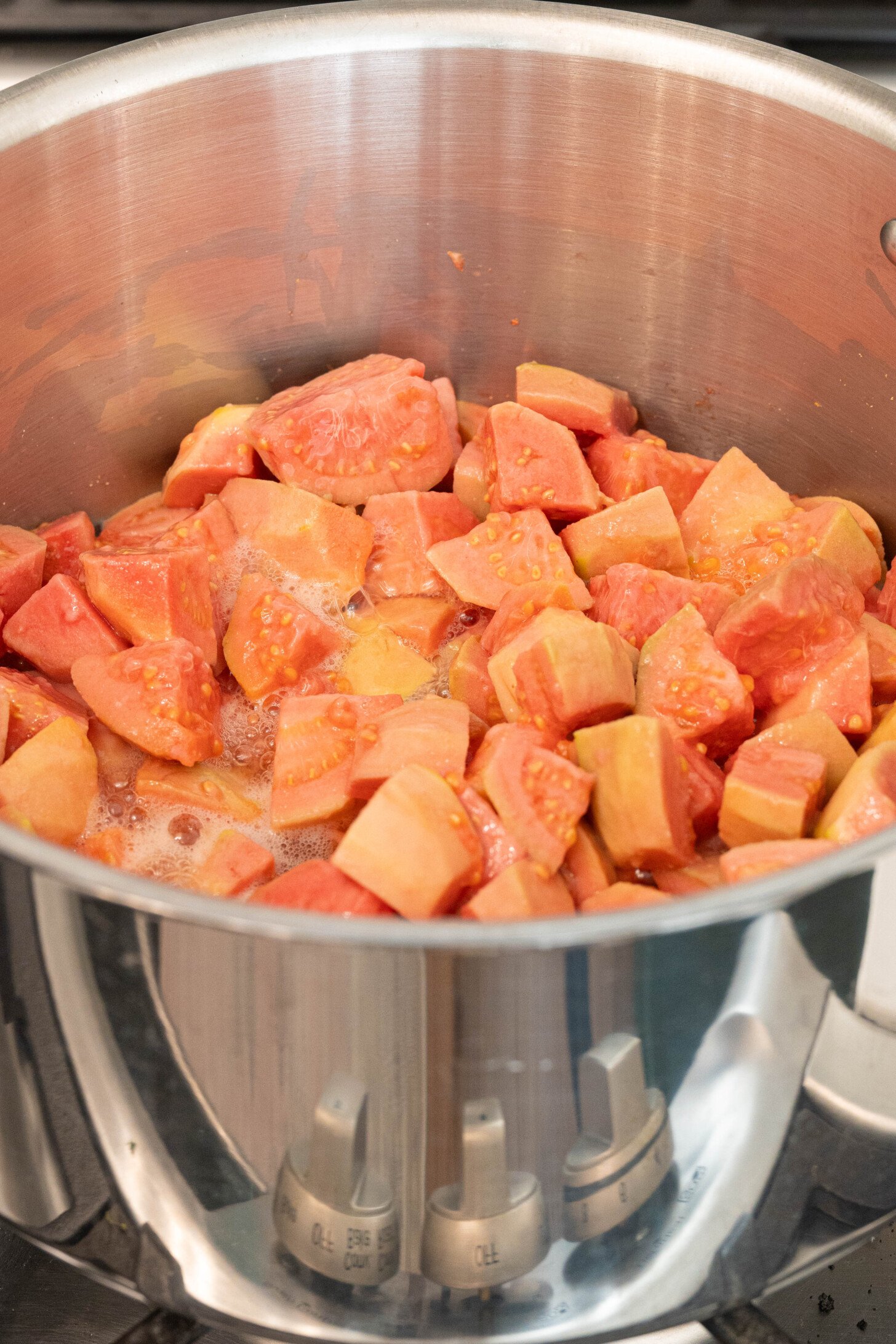 Homemade Guava Paste (4 Ingredients) | Salima's Kitchen