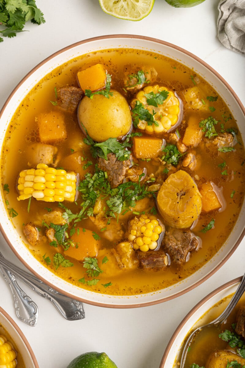 Stewed Sancocho (Puerto Rican Beef & Root Veggie Stew) | Salima's Kitchen