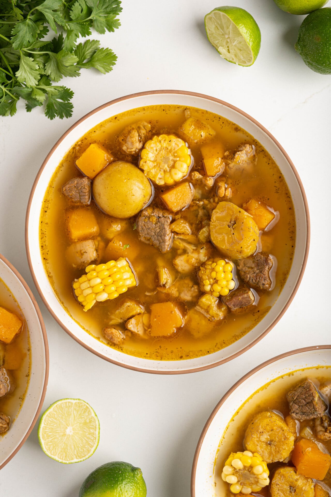 Stewed Sancocho (Puerto Rican Beef & Root Veggie Stew) | Salima's Kitchen